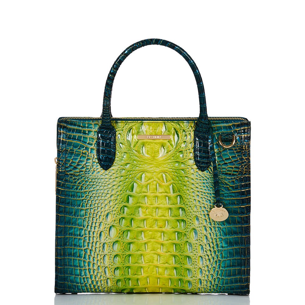 BRAHMIN Caroline Satchel Handbag – ShopCGX