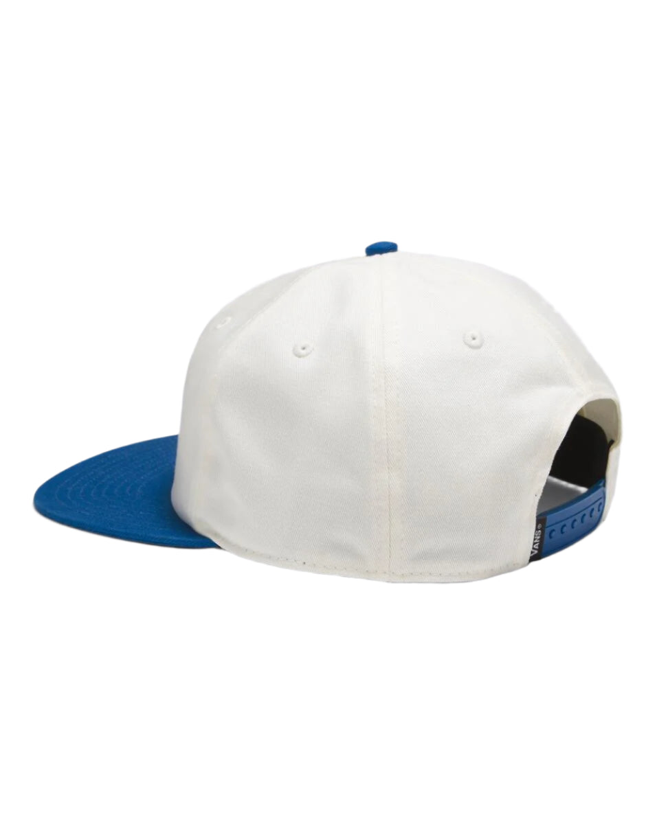 Vans Mens Design Co Low Unconstructed Hat – ShopCGX