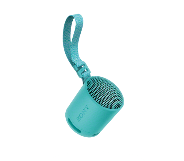 Sony XB100 Compact Bluetooth Wireless Speaker – ShopCGX