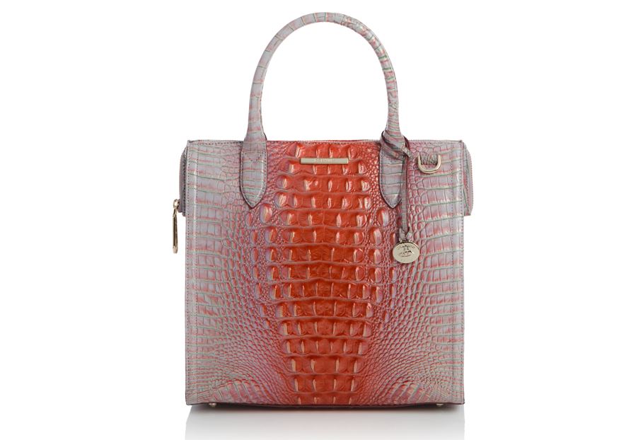 BRAHMIN Caroline Satchel Handbag – ShopCGX